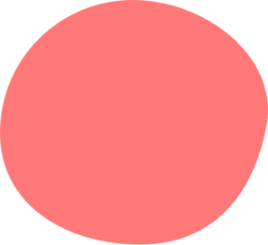 Scameter - 守網者